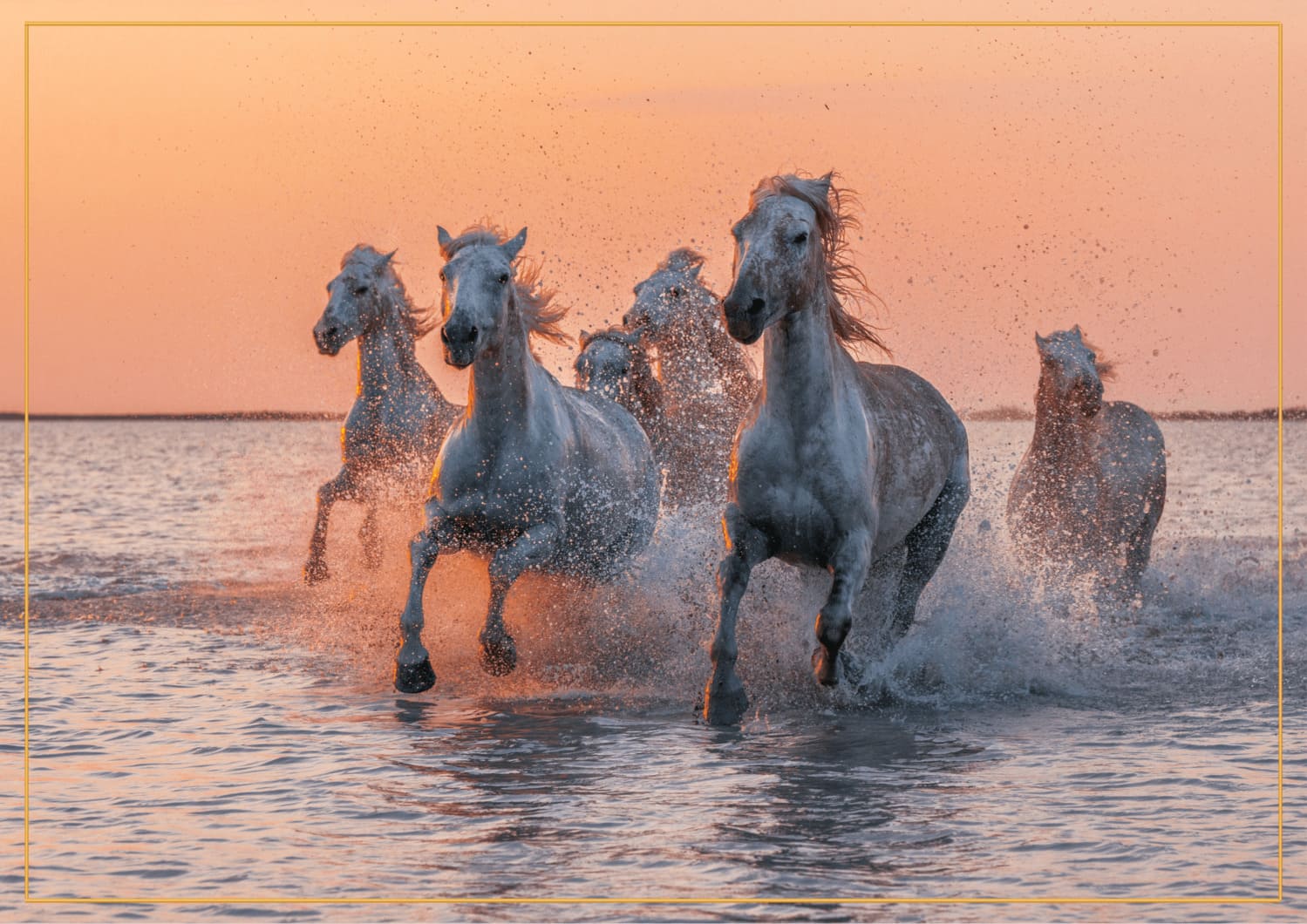 A Question on Spirit Teams - Part 1 of the Spirit Magic Community Request Blog Series - Myree Morsi