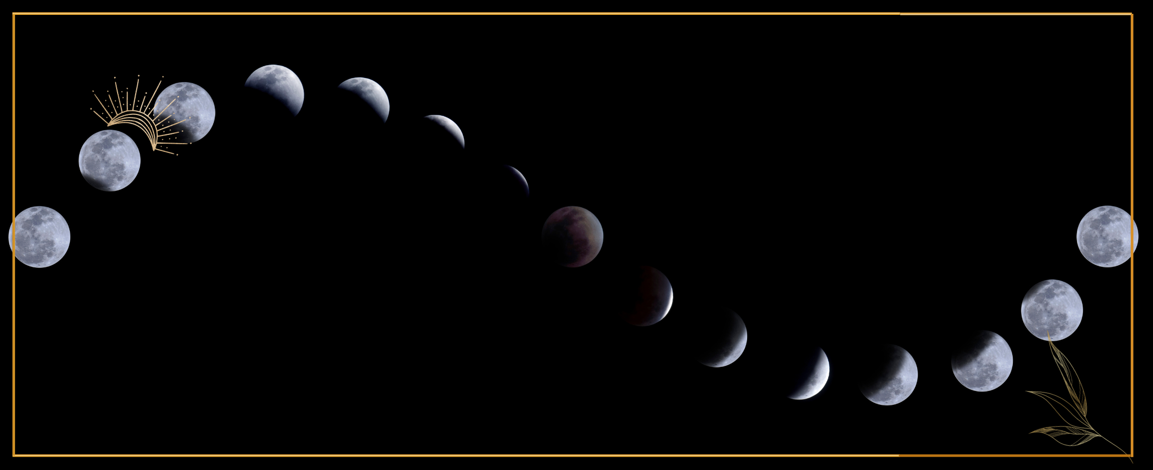 Free Download Eclipse Guide - Myree Morsi